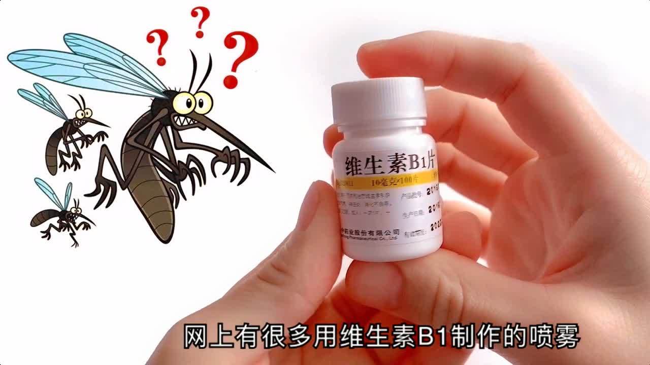 夏季蚊子多,维生素B1到底能不能驱蚊,你不知道的驱蚊法