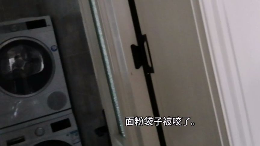 客户买了老鼠笼和捕鼠器没抓到,出了800块小伙上门处理。