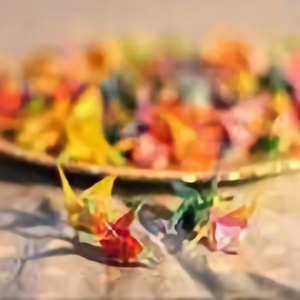 镜头记录生活中的美好 