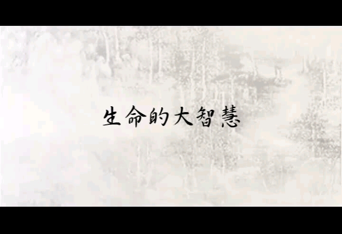 蔡志忠中国经典动画系列庄子说。