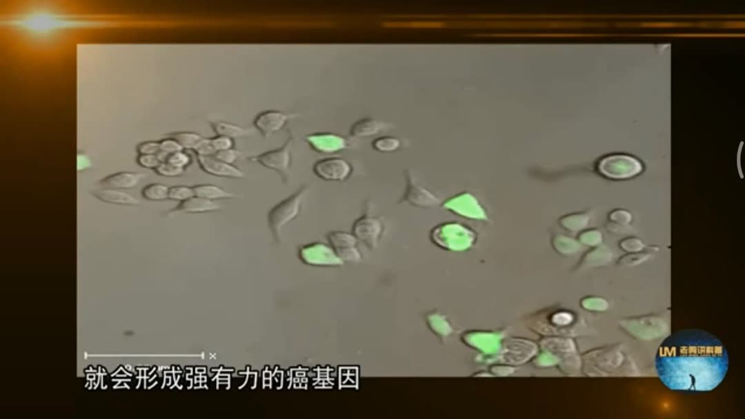 原癌基因与抑癌基因的小知识2