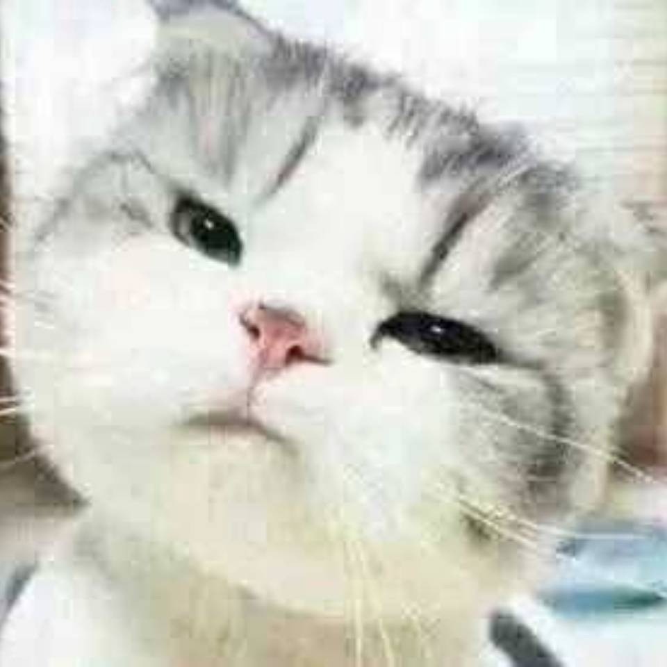 唯氵心 