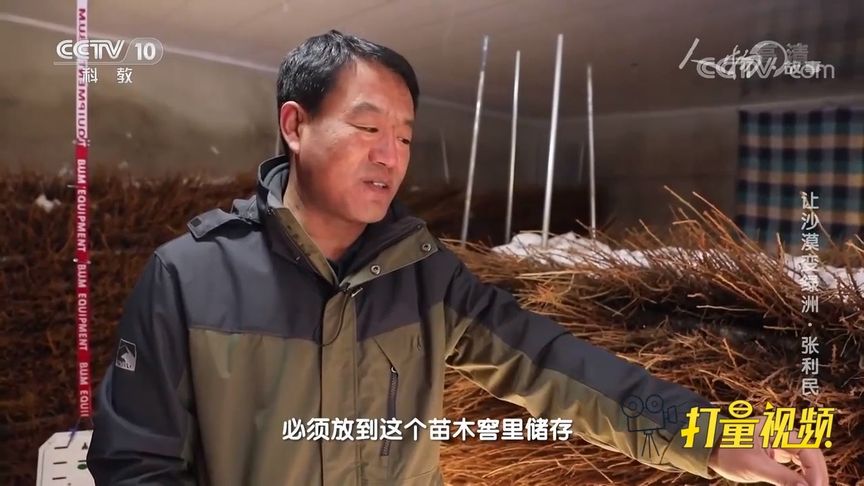 塞罕坝林场再添新人,使命在肩,为林场再添“新绿”|人物·故事