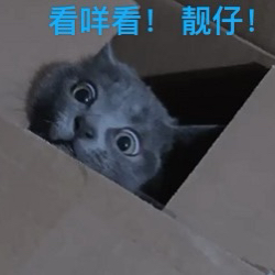 端木大魔王 