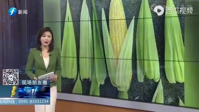染色、熨烫…女子用玉米皮做仿真花,一年时间研究出30多种花!