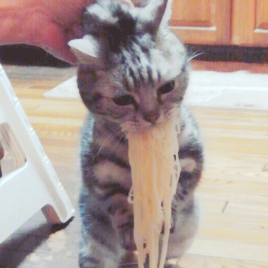 敛财喵_度日如年中 