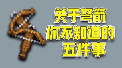 我的世界:弩你不知道的事,新版的弩居然可以攻击到末影人!