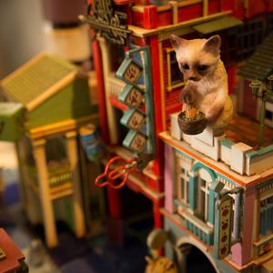 相信自己聊剪辑 