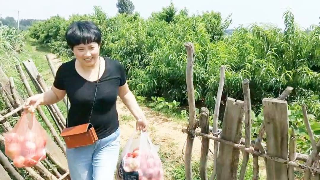 今天去桃园摘桃子,又大又甜,摘了满满2大兜,你猜花了多少钱