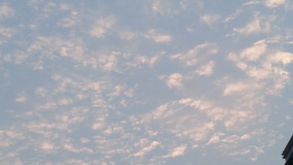 Vlog#18-开始做实验的第一天:累!累!今天接触了仪器分析新实验