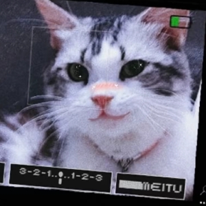 后期喵 