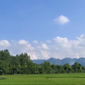 向山举目 