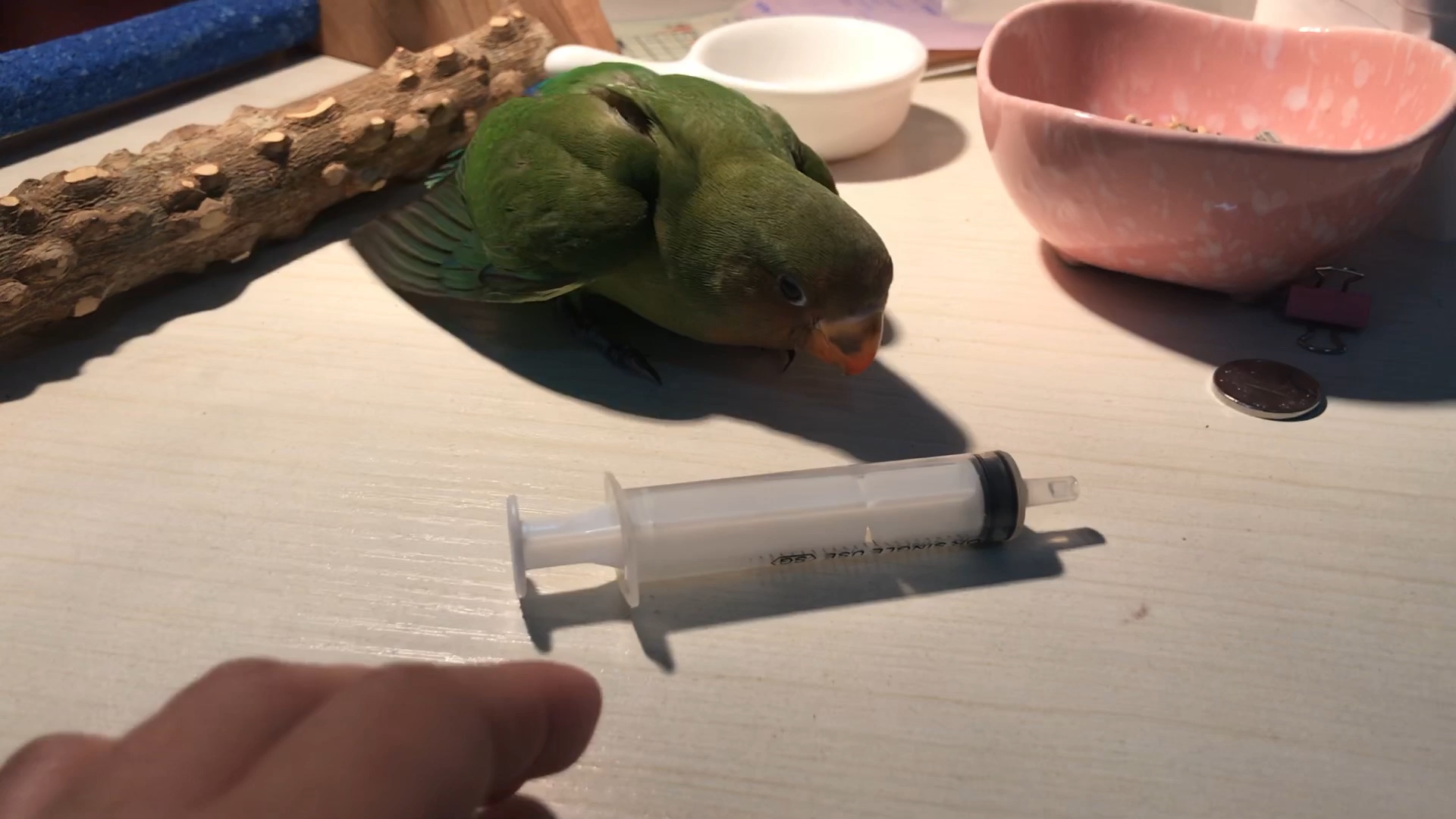 【纪念小桃子】桃子是个自动瞄准器?