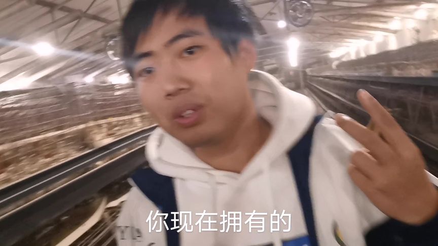 农村养鸡小强,说出0成本价值100万的资源配置方法,看完涨见识了