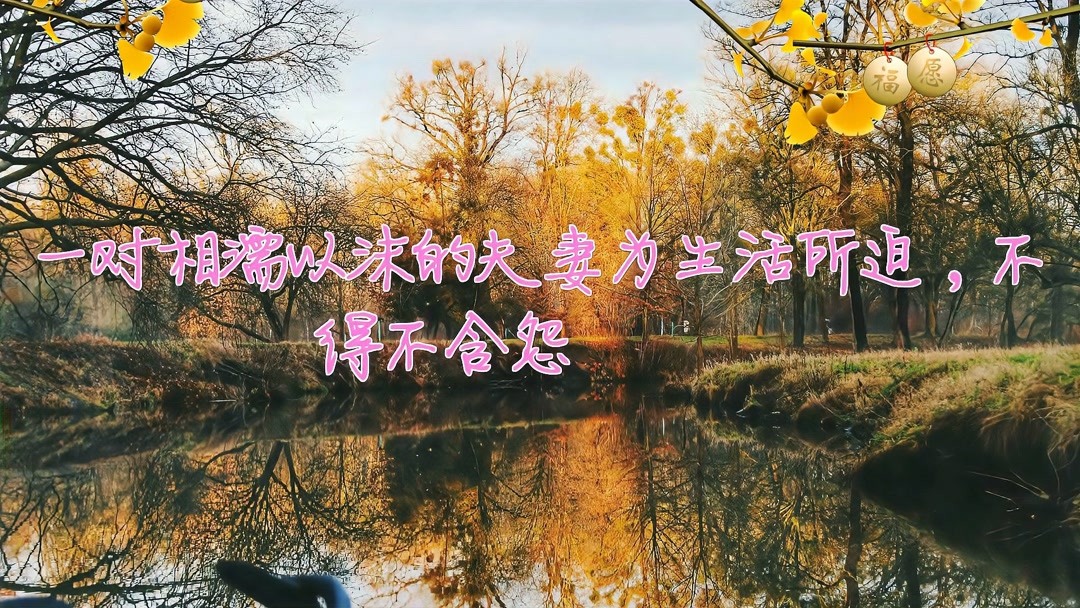描写秋天的诗句古诗词,带白话文意思翻译