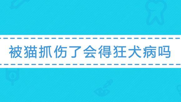 猫会携带狂犬病毒吗?被猫抓伤后会得狂犬病吗?要不要打狂犬疫苗