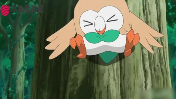 【精灵宝可梦】木木枭对阵投羽枭,一开始被调戏,后来mega击败它