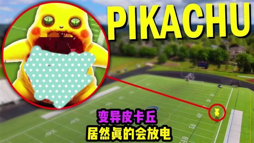 你见过现实当中的皮卡丘吗?我们发现了皮卡丘,居然真的会放出电
