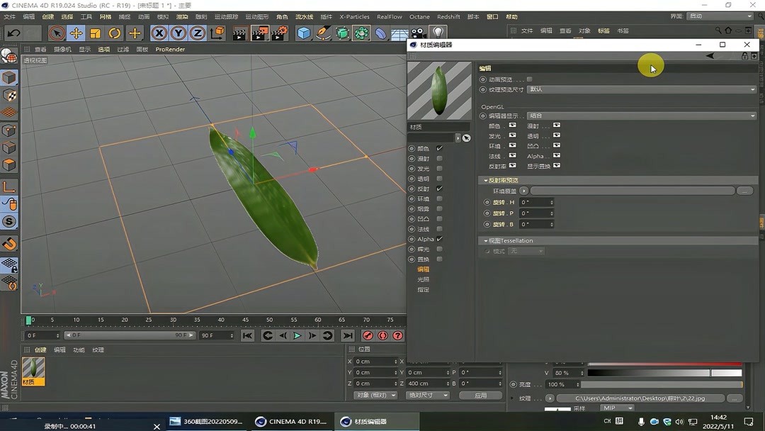 c4d怎样制作真实的植物叶子