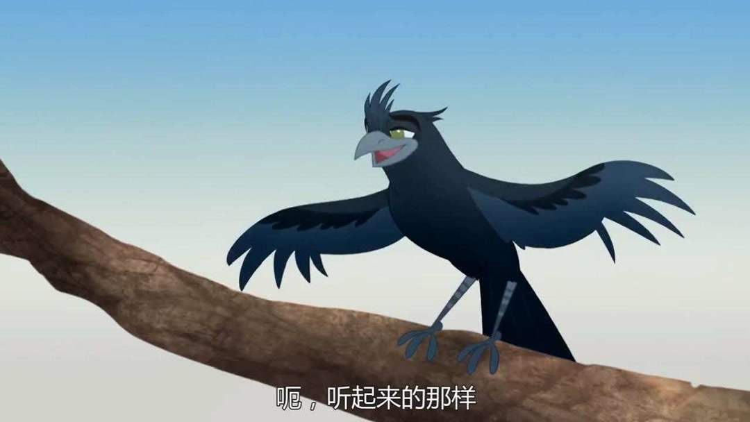 小狮王守护队:可爱的斑马和卷尾雀搞笑的演出