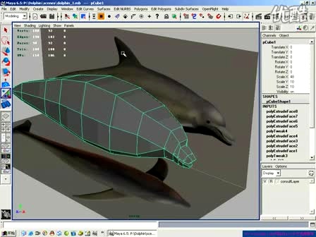 诺宝Maya教程多边形建模菜单讲解3