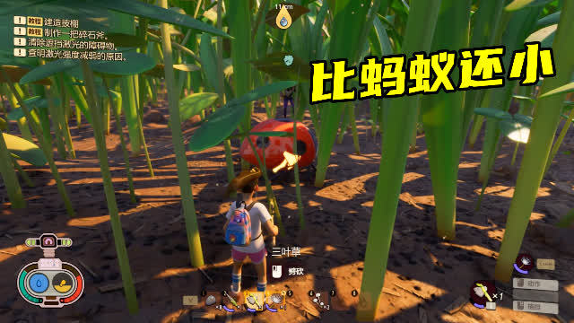 禁闭求生02:野草丛林探险,多米暗墨被巨型蚂蚁咬死