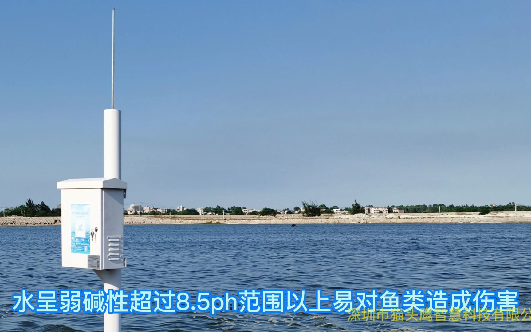 第三期-智慧渔业水产养殖淡水和海水的水质需要监测哪些指标参数-下篇