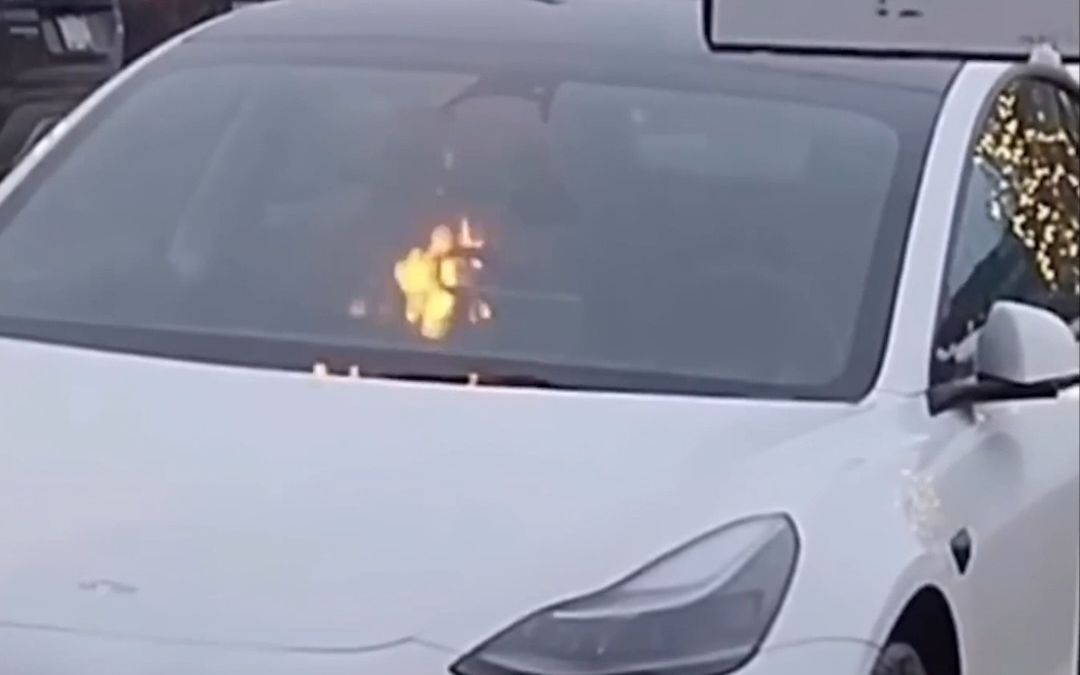 电动汽车已经发展到这种水平了吗