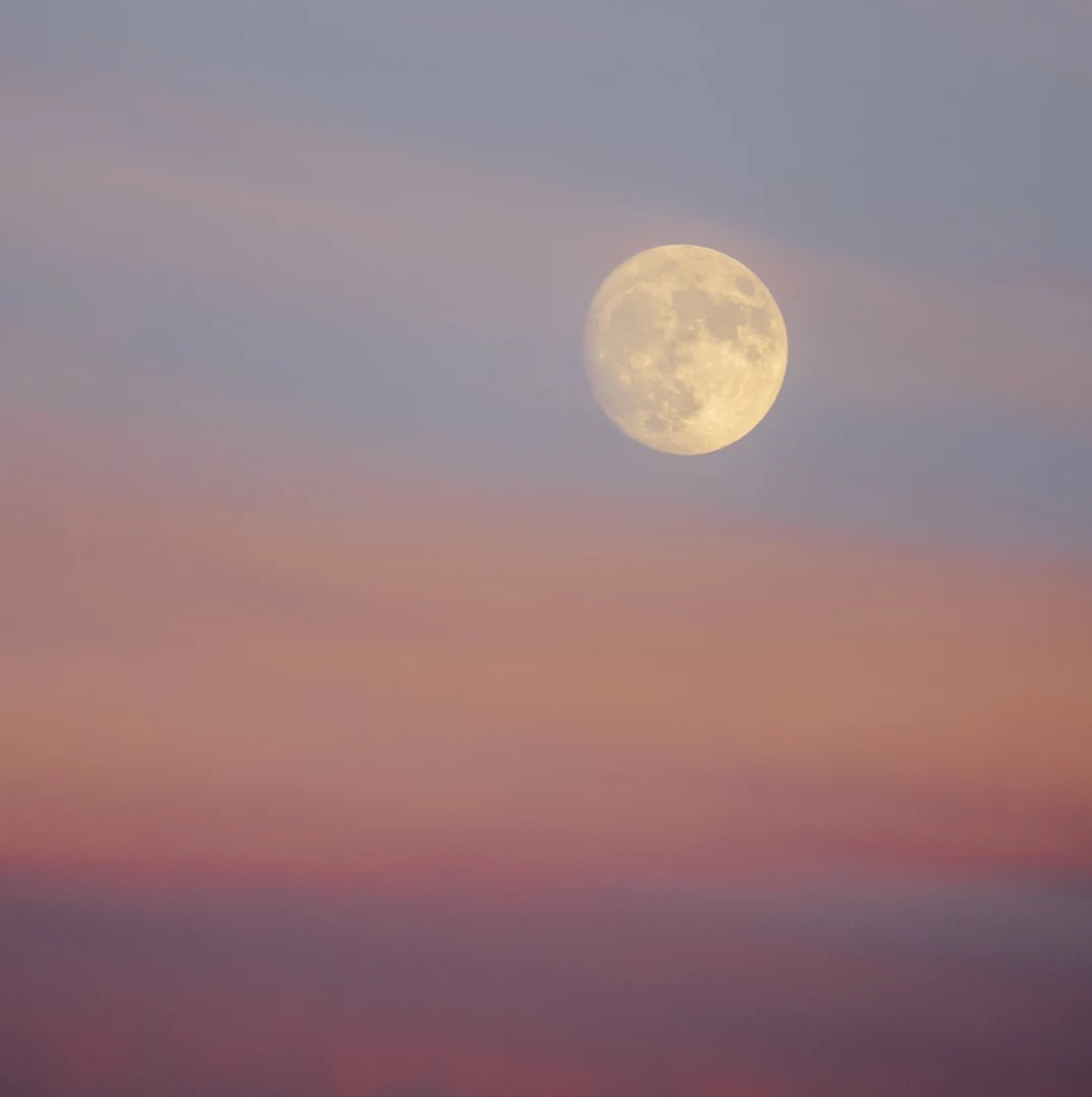 满山瘊子沃定最红 