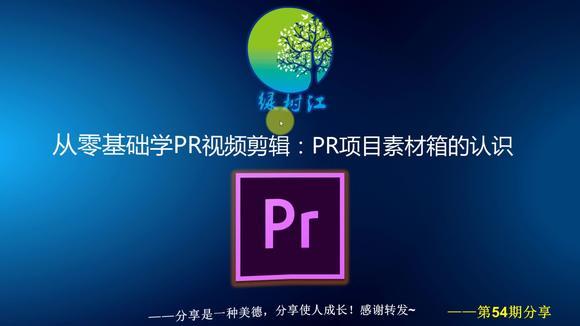 从零开始学PR视频剪辑:PR项目素材箱的基本功能及使用