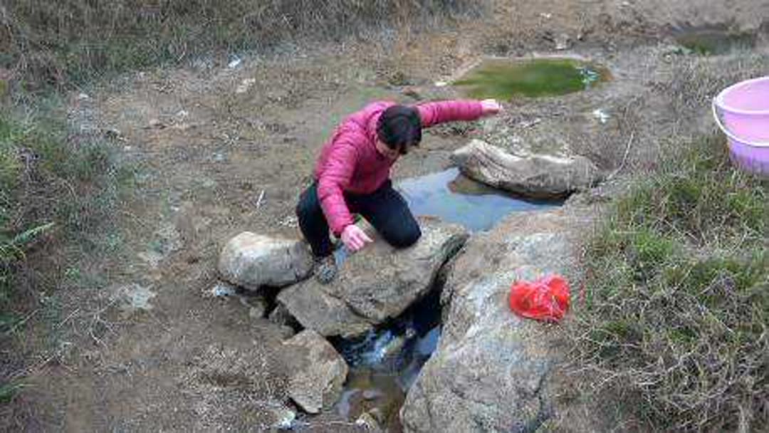 石头缝水通往地下河,小伙挖五斤蚯蚓打窝,两天后开钓,乐坏了