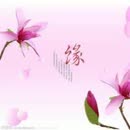 爱吃铜锣烧的淳于清华 