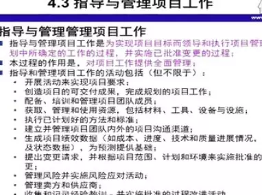 项目整合管理-3指导与管理项目工作