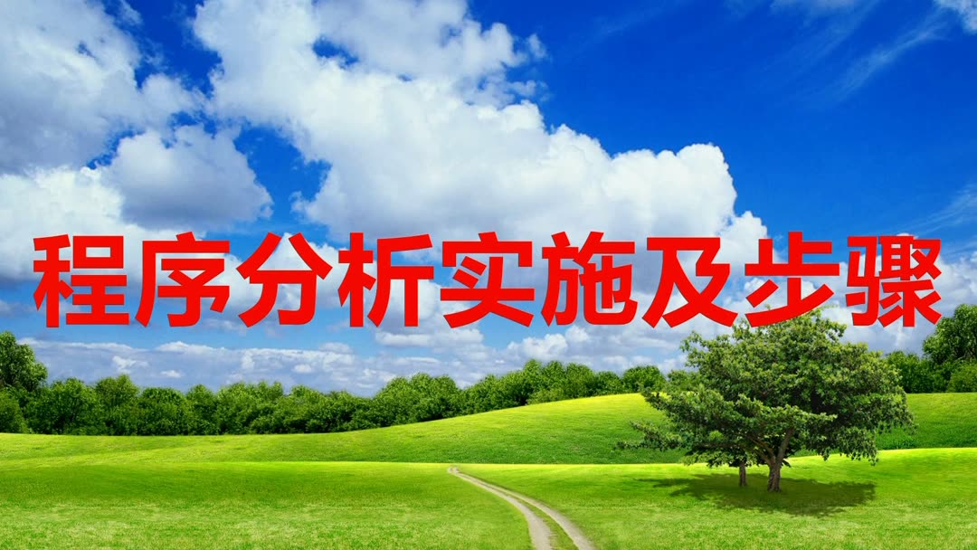 程序分析实施及步骤