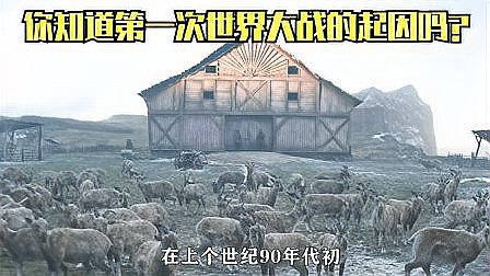   第一次世界大战的起因你们知道吗?