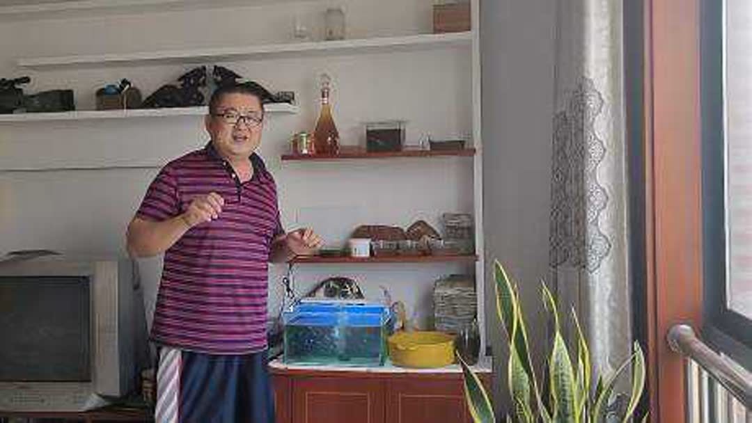 余月给孔雀鱼换水,先测PH值再加小苏打,你觉得这样做有必要吗?