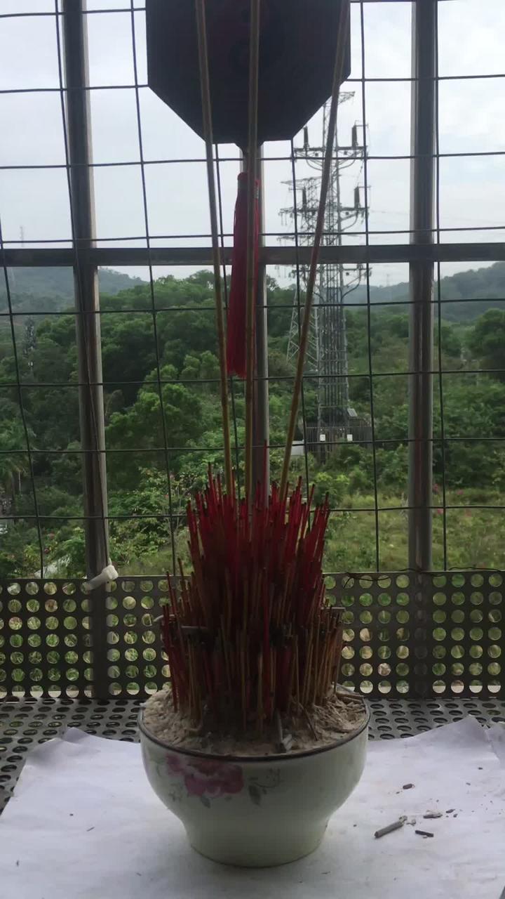 早功课,道家传统文化#道家文化 #道系青年 #武术 #让老祖宗留下的...