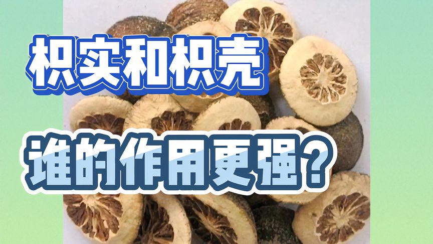 理气药枳实和枳壳,枳实的力量峻猛,枳壳的力量较缓一些