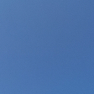 白天画画 