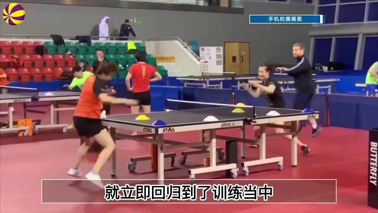全运会即将开始,国乒混合大战,孙颖莎首战陈梦,樊振东再战马龙