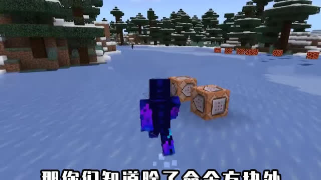 只能指令生成的方块,屏障...
