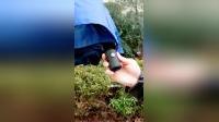黑科技全自动雨伞 闪收闪放 一键开启、关闭 感觉比蓝朋友都好!