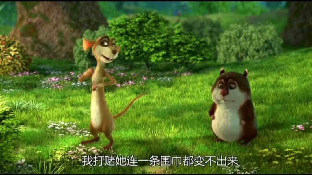 森林的美景
