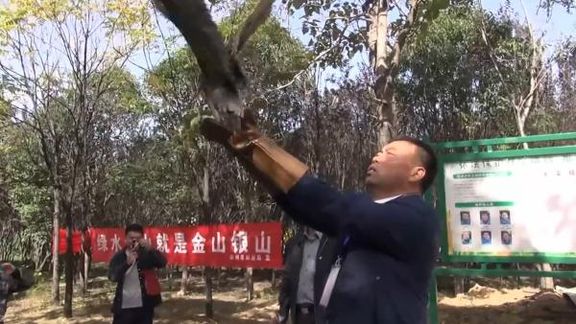 郑州一野生动物救助站搬家,放生健康动物