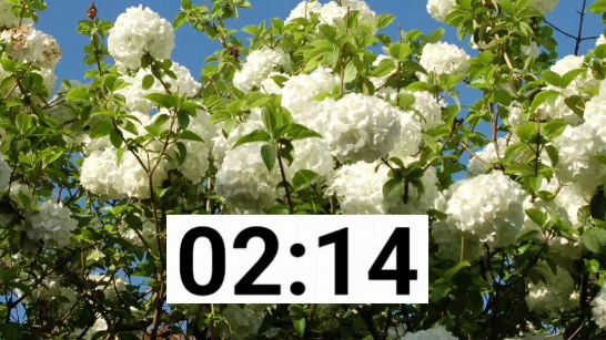 五分钟倒计时(前五分钟有音乐版)