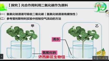 实验:二氧化碳是光合作用的原料