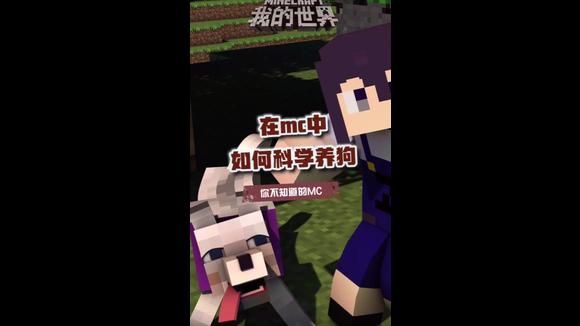 在MC如何科学养狗?