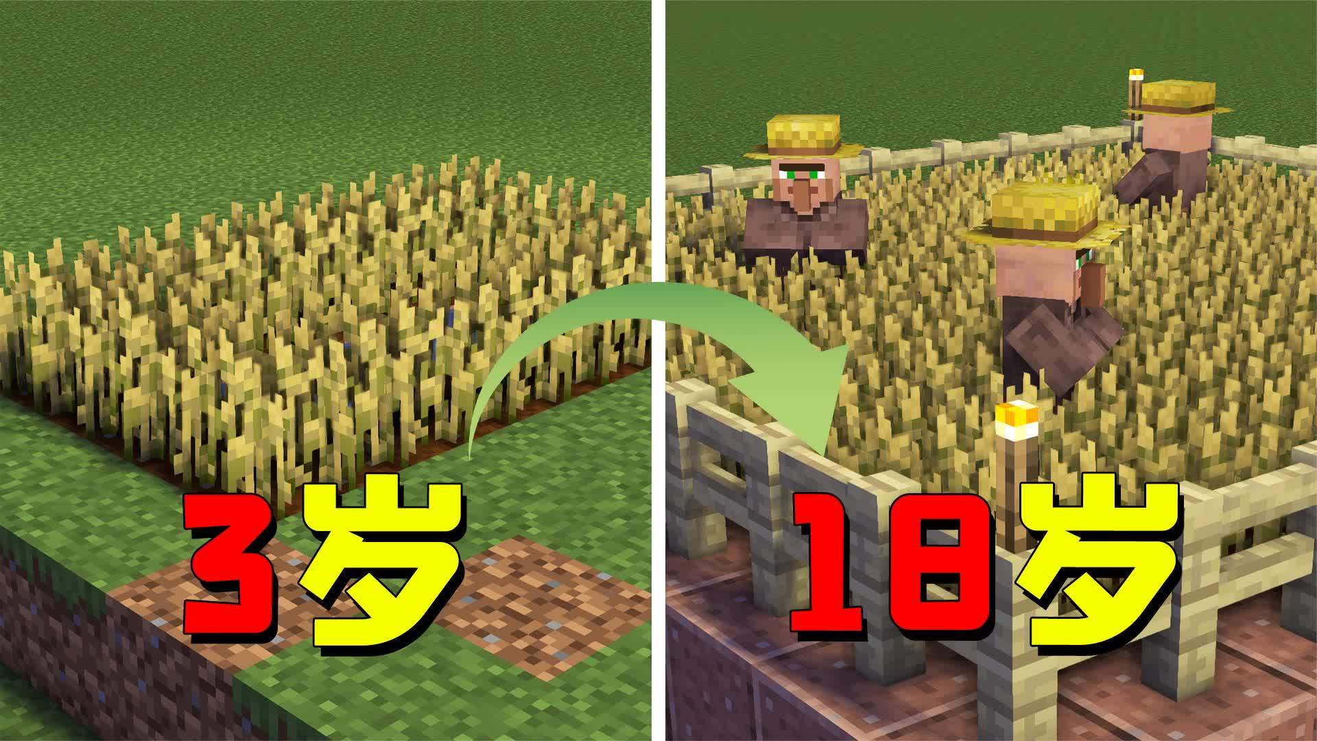 我的世界:不同年龄怎么种地?18岁成功开起一个农场