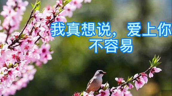 疫情之下爱上你,不容易!折叠门衣柜——将成为美女居家新宠吗?