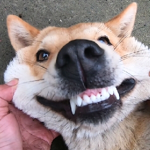 丶淡然灬 